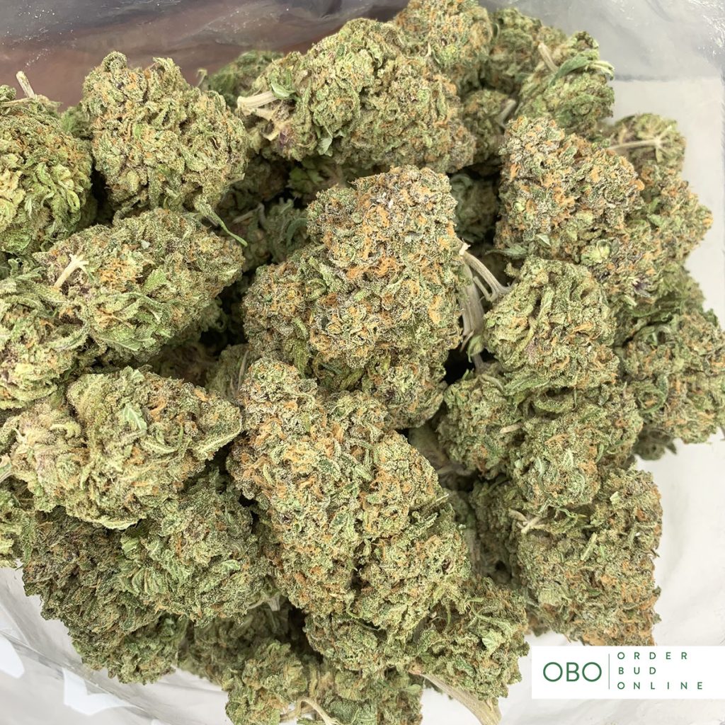 Buy Weed at Order Bud Online Canada #1 Top Marijuana Dispensary
