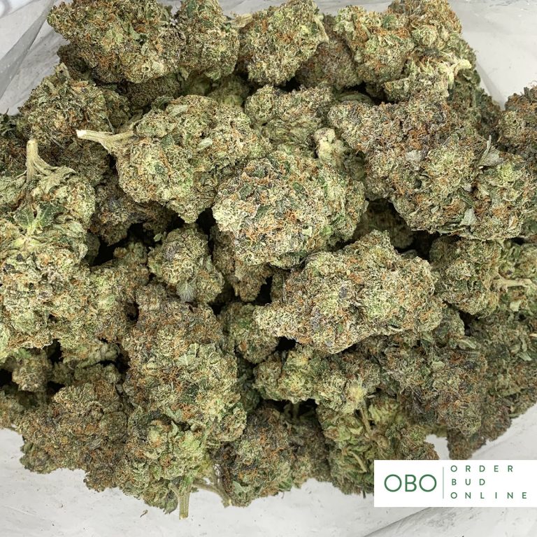 Captain Pink - Order Bud Online