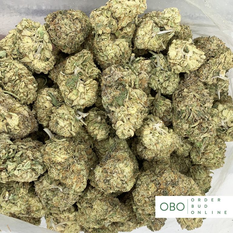 Grease Monkey - Order Bud Online