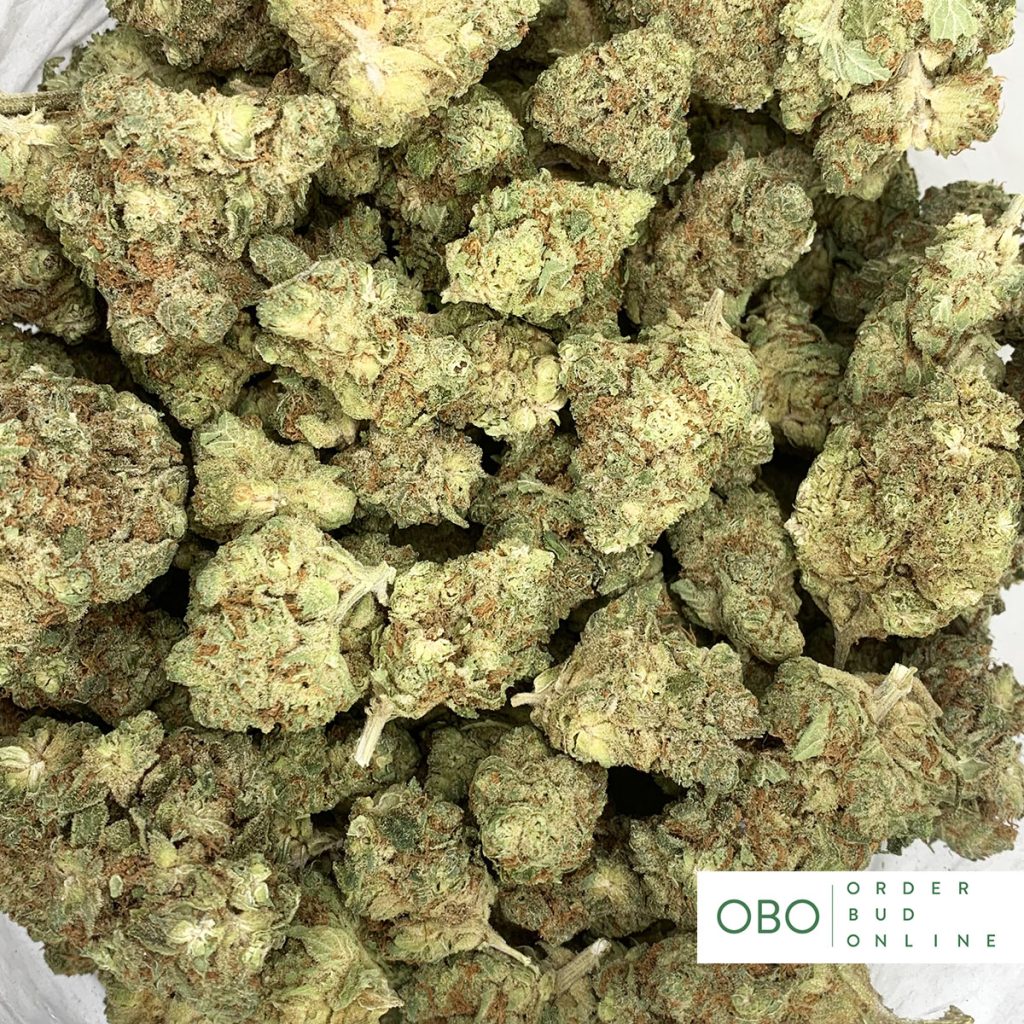 Papaya Punch - Order Bud Online
