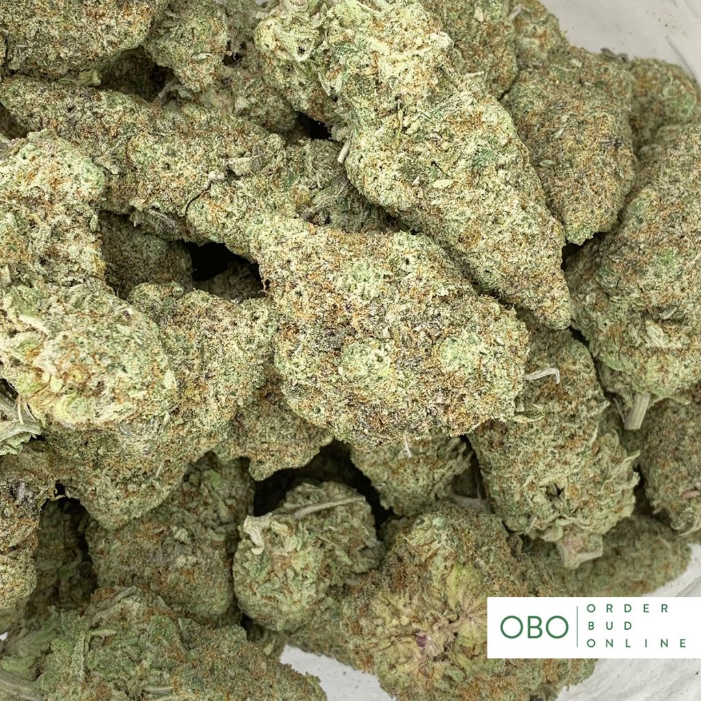 Buy Cheap Weed at Order Bud Online | #1 Online Marijuana Dispensary BC