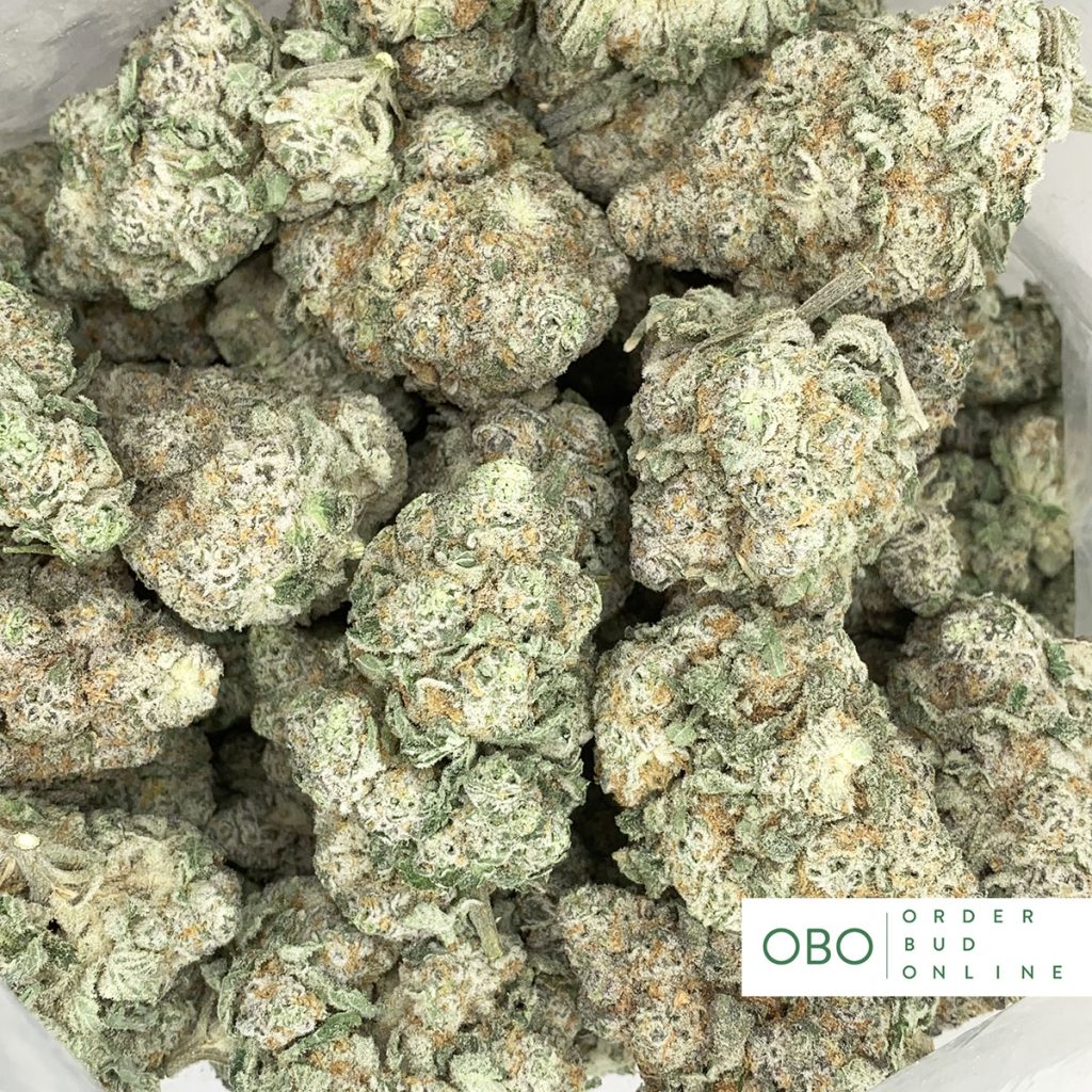 Buy Weed at Order Bud Online Canada #1 Top Marijuana Dispensary