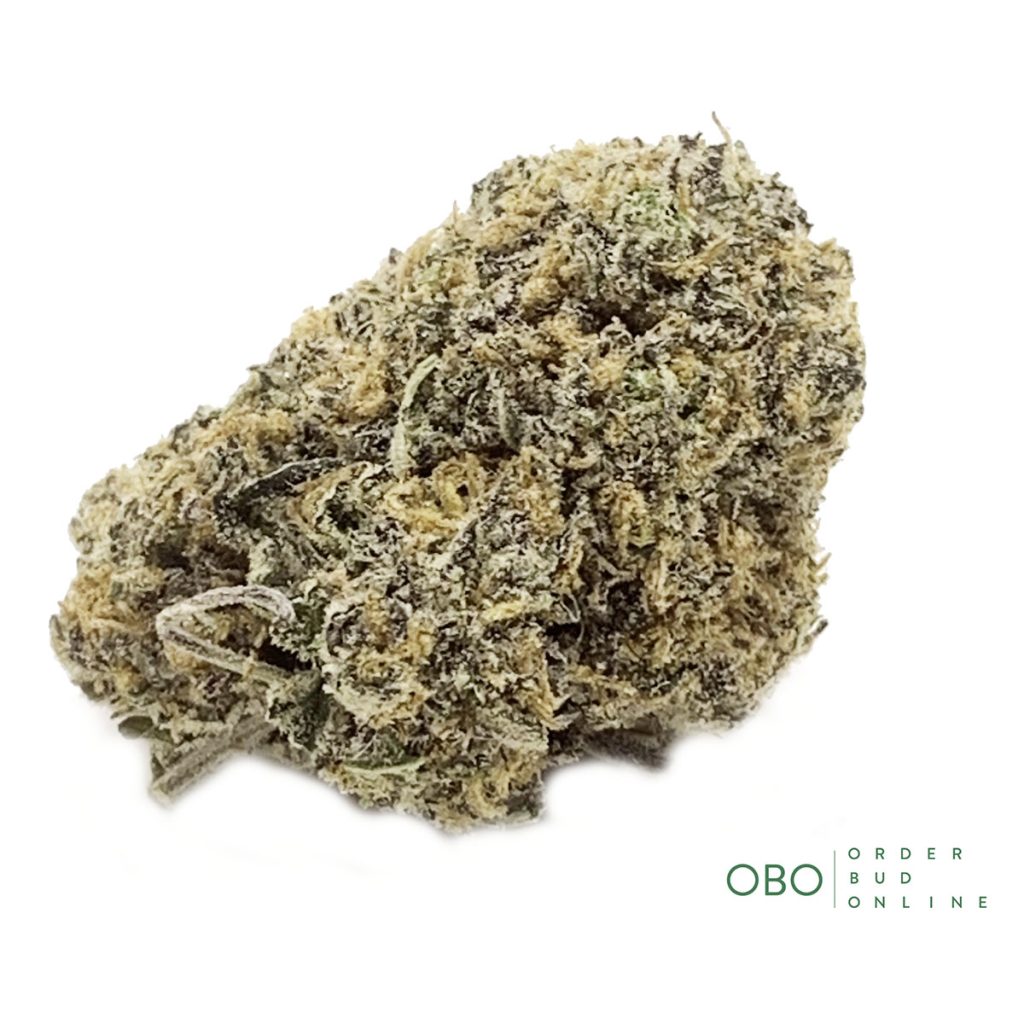 Blackberry Kush - Order Bud Online