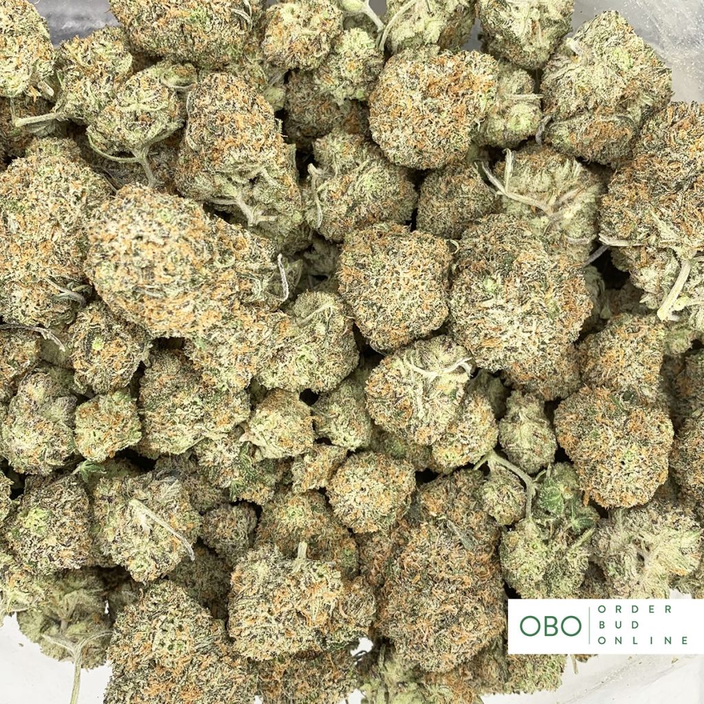 Buy Weed at Order Bud Online Canada #1 Top Marijuana Dispensary