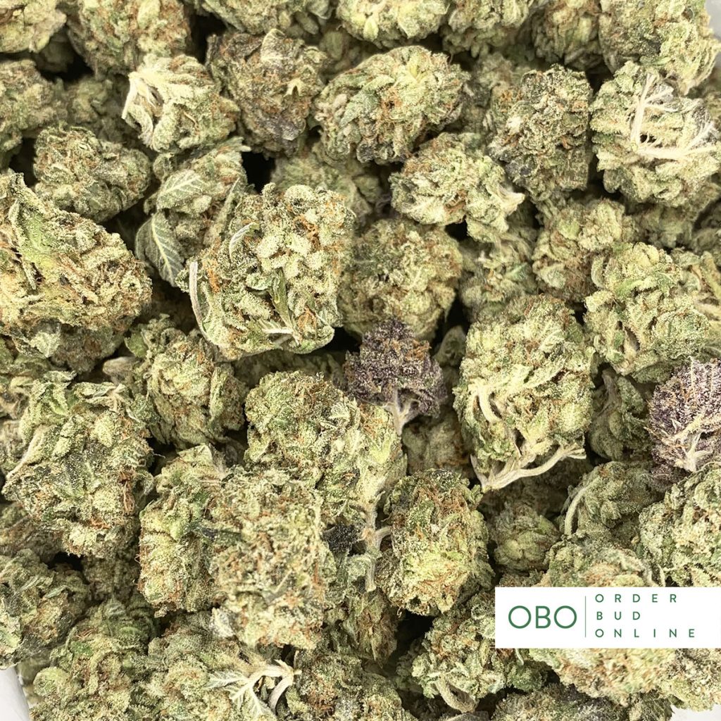 Buy Weed at Order Bud Online Canada #1 Top Marijuana Dispensary